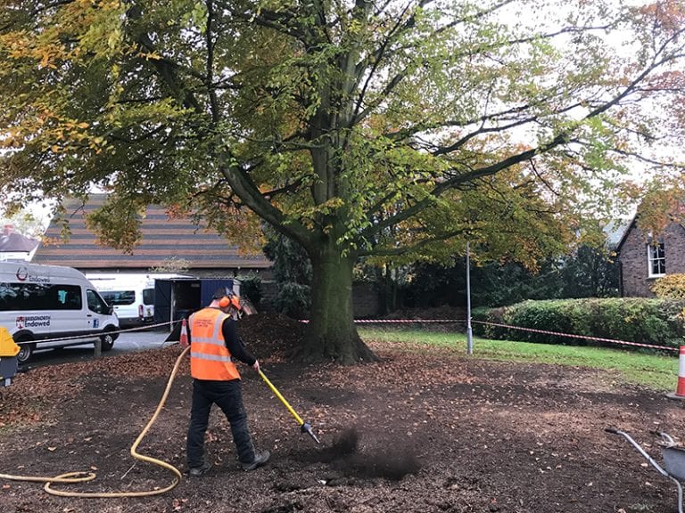 Tree Airspade Services By Cashmore Contracting Bridgnorth Shropshire